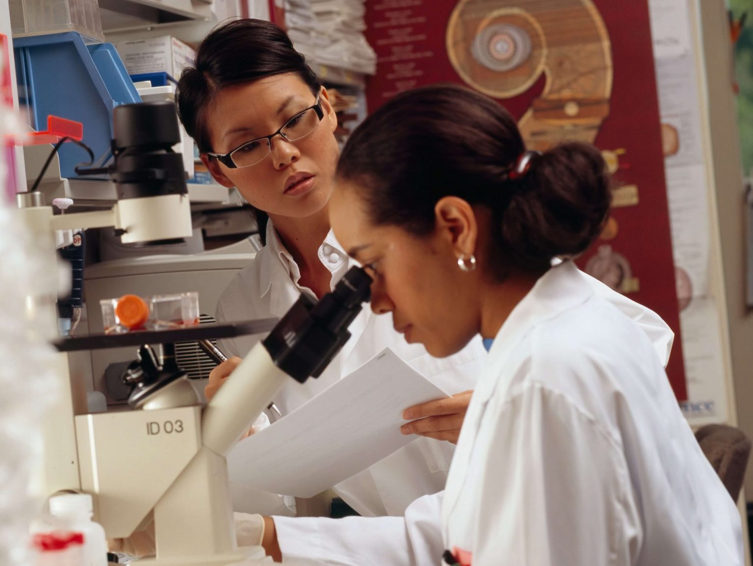 Tutto sugli enti: enti pubblici, enti locali e altri tipi di enti nel 2024